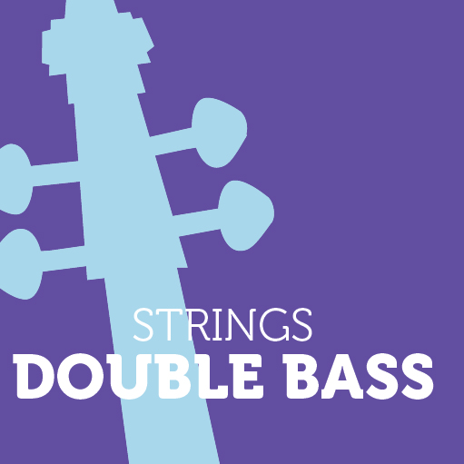 Strings – Double Bass | Norfolk County Music Festival